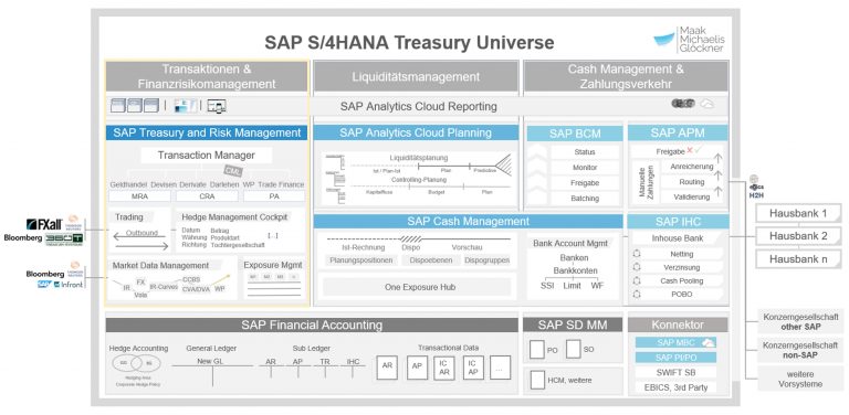 Treasury and Risk Management - SAP Treasury Consulting - MMG