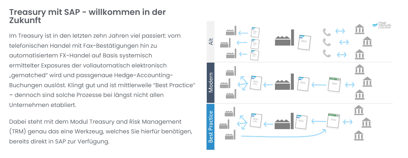 SAP Treasury and Risk Management (TRM) - SAP Treasury Consulting - MMG