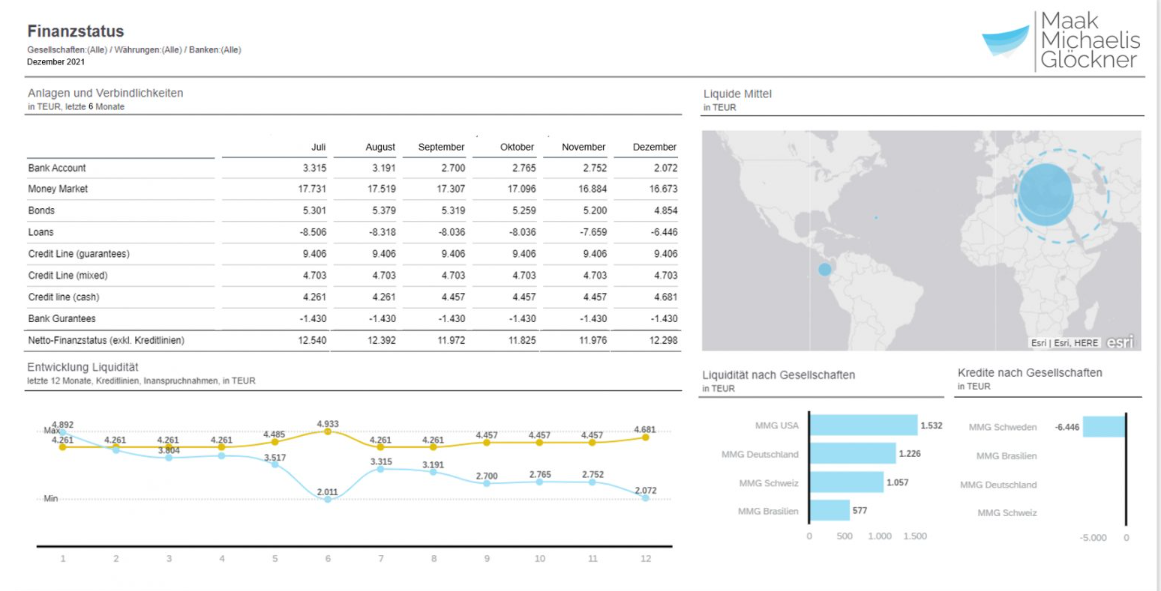 Treasury Reporting - SAP Treasury Consulting - MMG