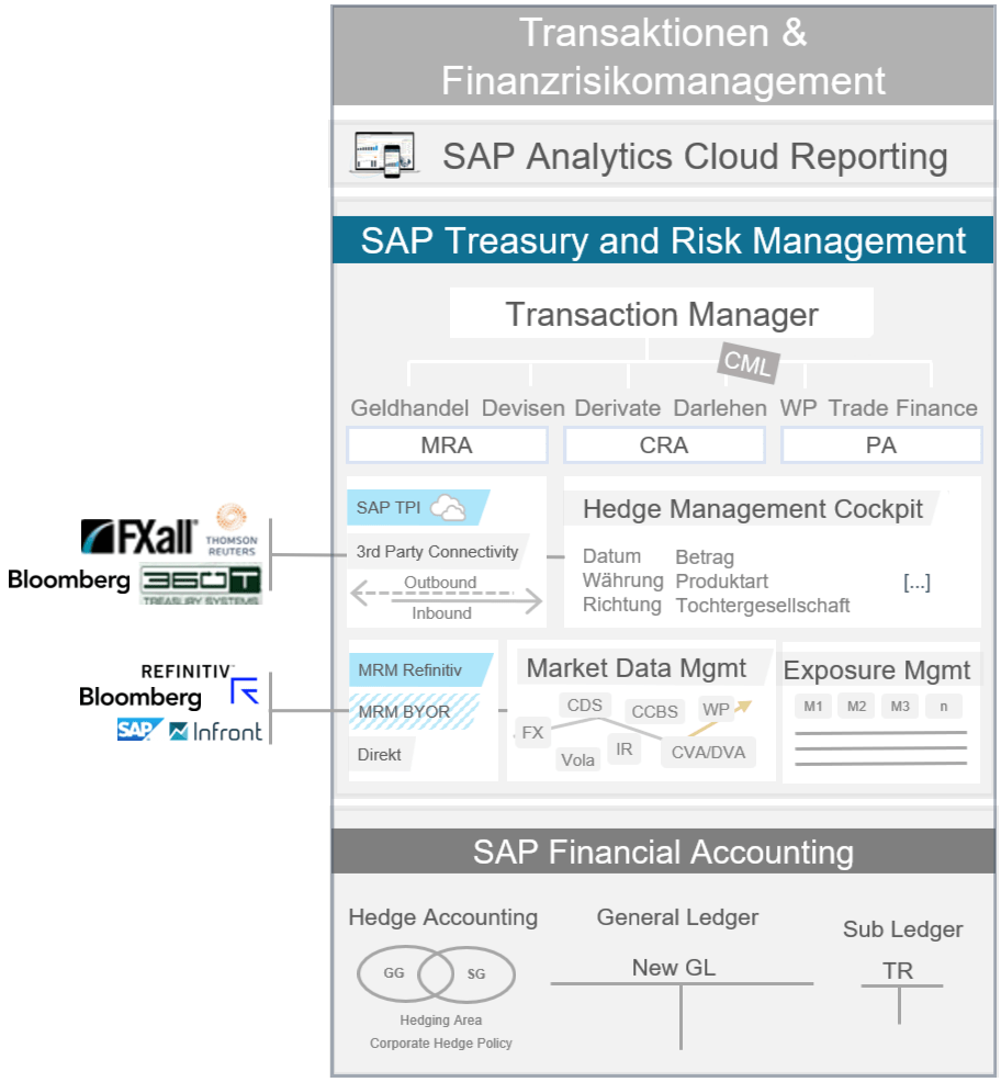 SAP Treasury and Risk Management (TRM) - SAP Treasury Consulting - MMG